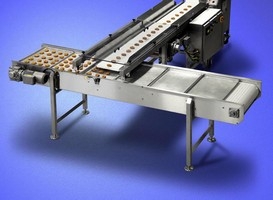 Pan Loading System Transfers Single File Product Into Rows